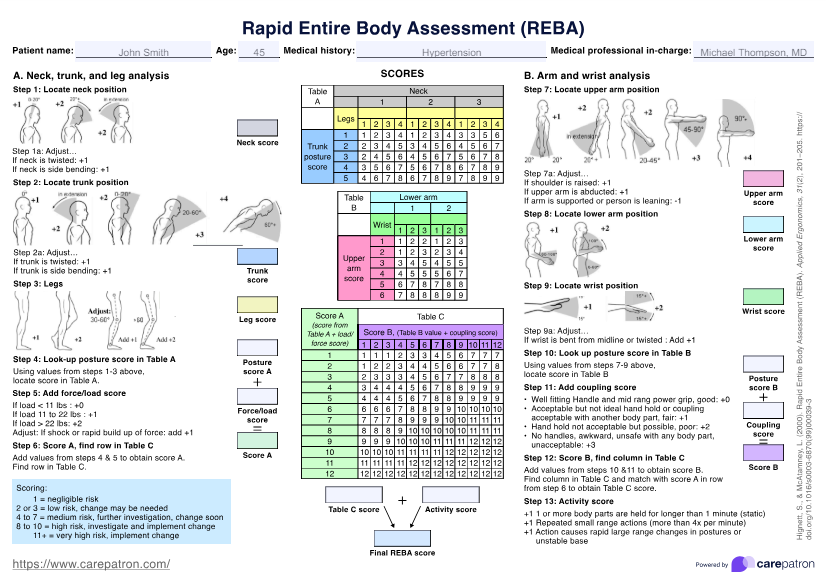 Rapid Entire Body Assessment & Example | Free PDF Download
